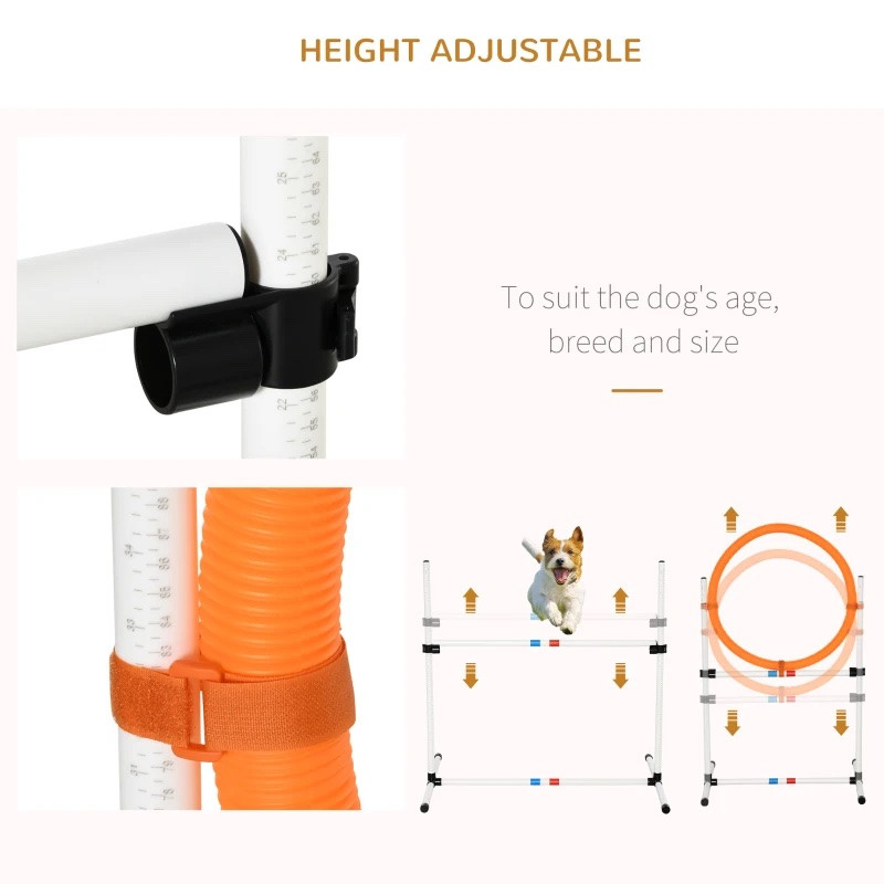 Hund Agility Set Training Kit